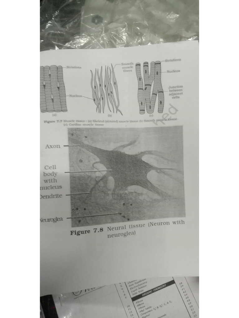 Gen 002 28072024 | PDF