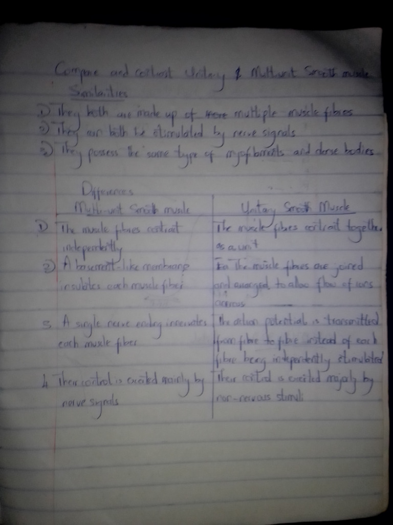 Comparison between Unitary and Multi unit smooth muscles | PDF