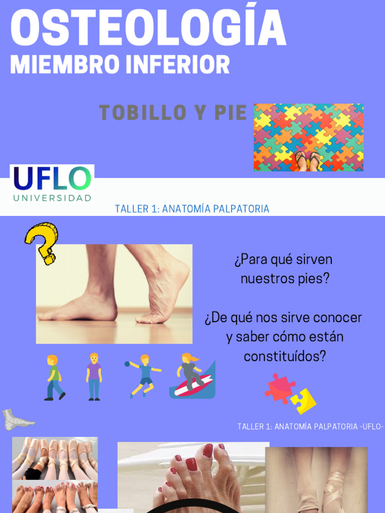 gu-a-osteolog-a-tobillo-y-pie-pdf-anatom-a-humana-anatom-a