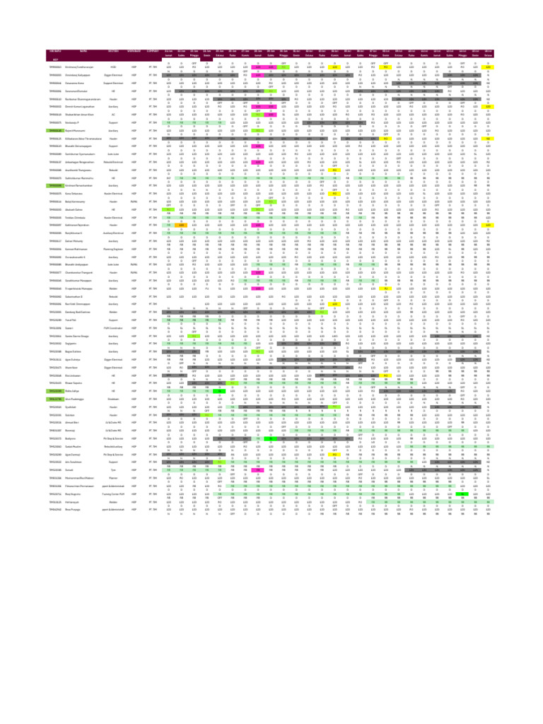 TIM - STC - PLM - PIT HSP - Timesheet Recouncil 21 Jun-16 Jul 2024 | PDF