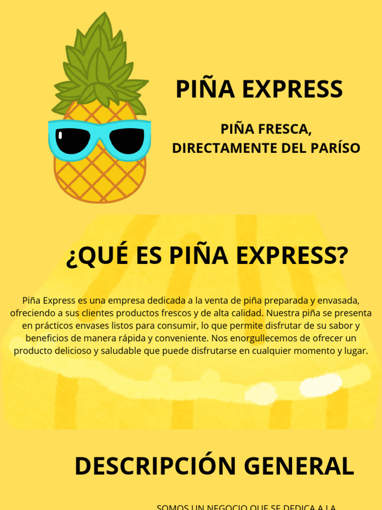 Piña Express | PDF | Iniciativa empresarial | Marketing
