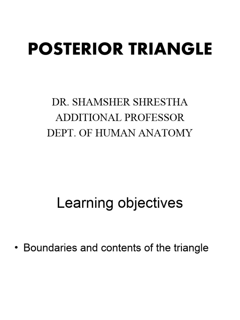 Anatomy of the Posterior Triangle | PDF | Neck | Anatomy