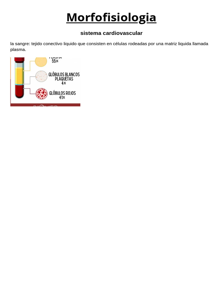 Morfo | PDF | Riñón | Ovario