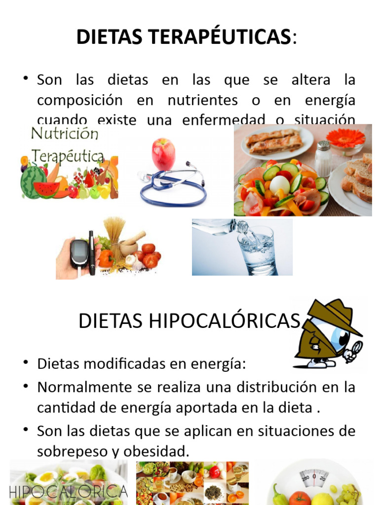 Dietas Terapéuticas | PDF | Nutrición | Dieta y nutrición