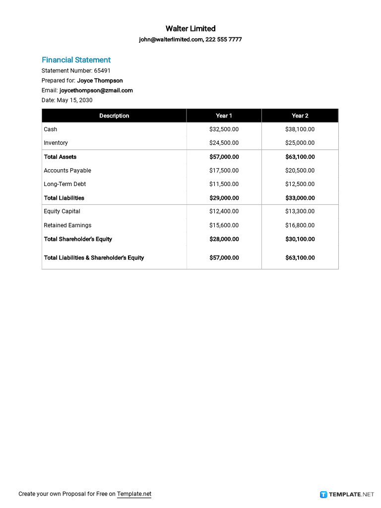 Financial Statement Template | PDF