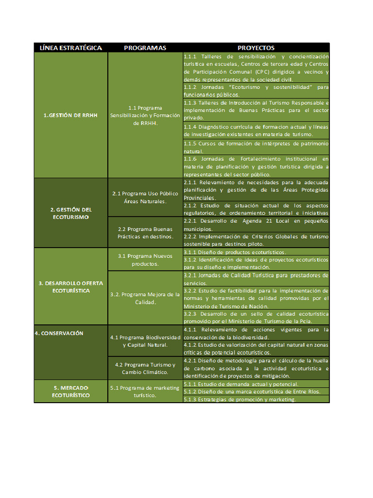 Cuadro Plan, Programa, Proyecto | PDF