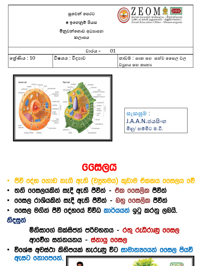 Shaka Ha Sathwa Sailawala Viyuhaya Ha Kruthya - Grade 10 Science Lesson ...