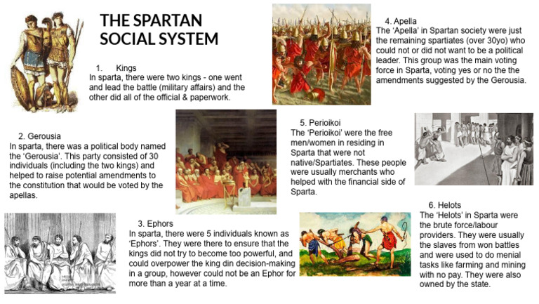 History - Spartan Social System Diagram | PDF | Sparta | Ancient Greece