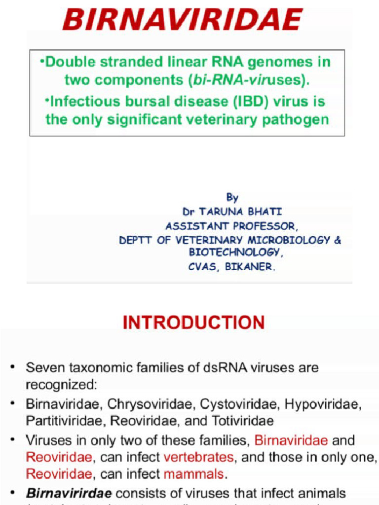 Family Birnaviridae | PDF