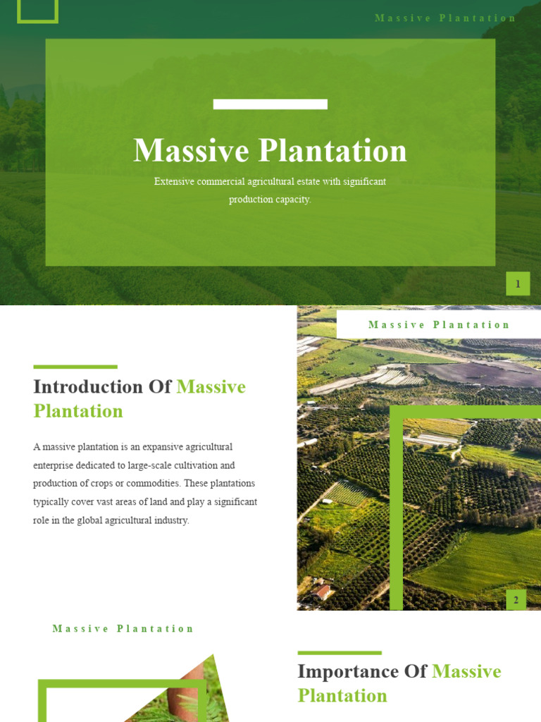 400415-Presentation On Massive Plantation | PDF | Plantation | Conservation Biology