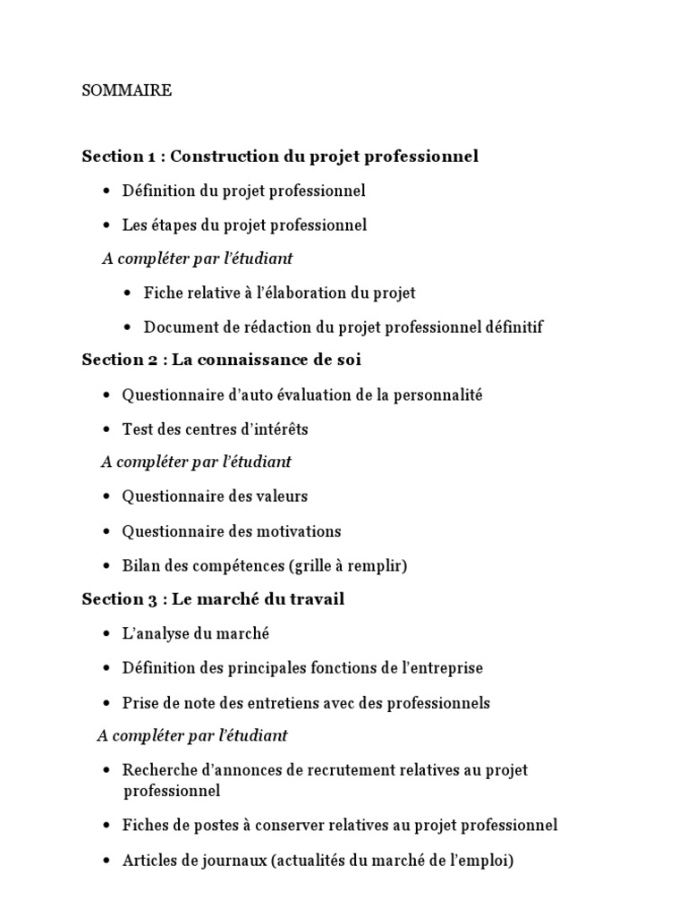 Projet Professionnel | PDF