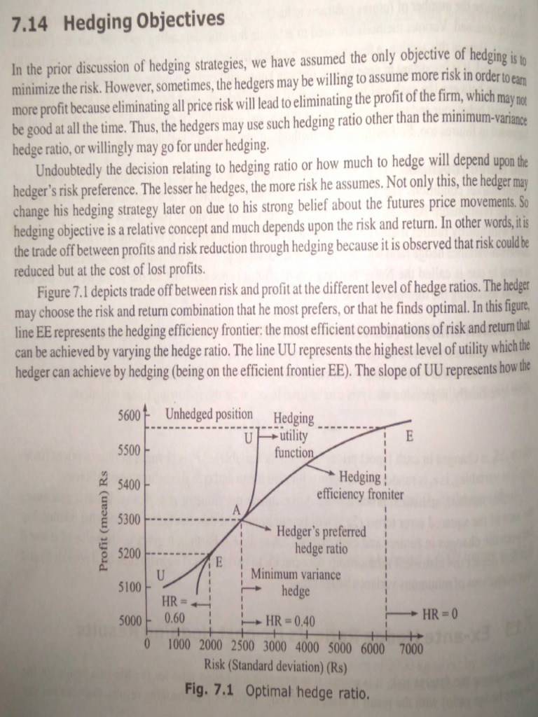 Beta Optimal Hedge Ratio | PDF