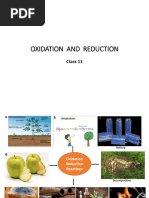 Chemistry Chapter 7 Redox Reaction Class 11 Notes PDF Download | PDF ...