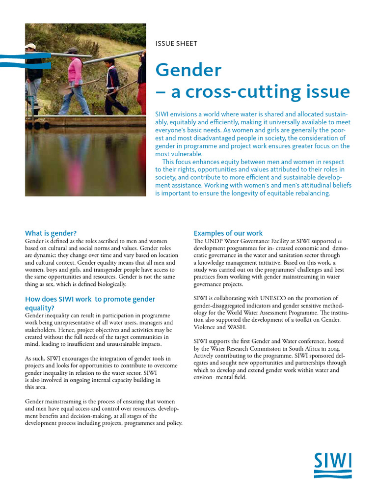 2015 Cross Cutting Issue Sheets Gender | PDF | Gender | Gender Studies