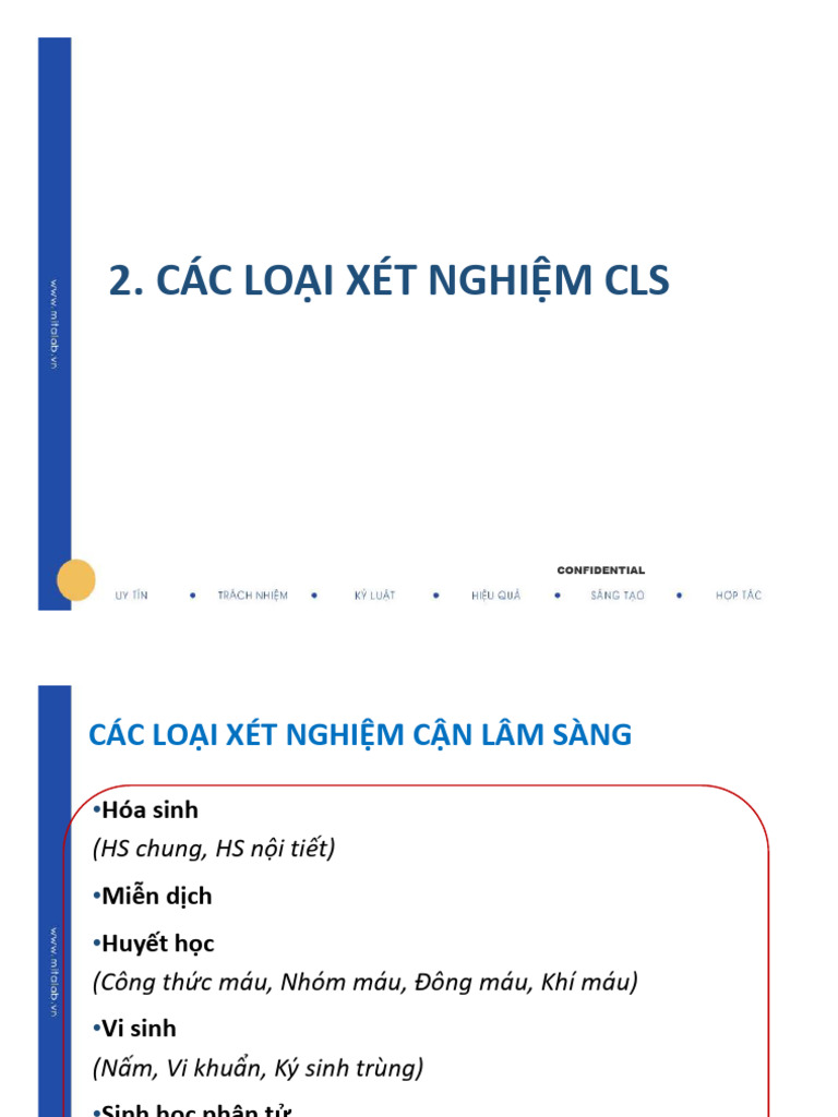 Tong Quan Xet Nghiem Lam Sang Va Cap Nhat Thi Truong IVDS | PDF