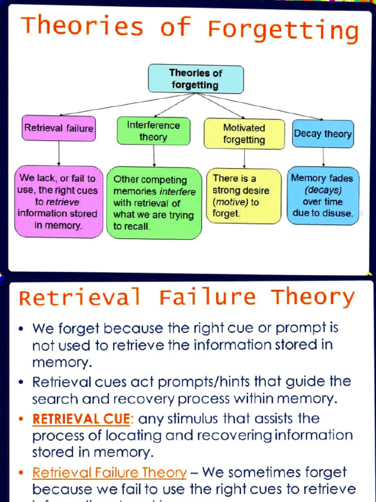 Theories of Forgetting | PDF