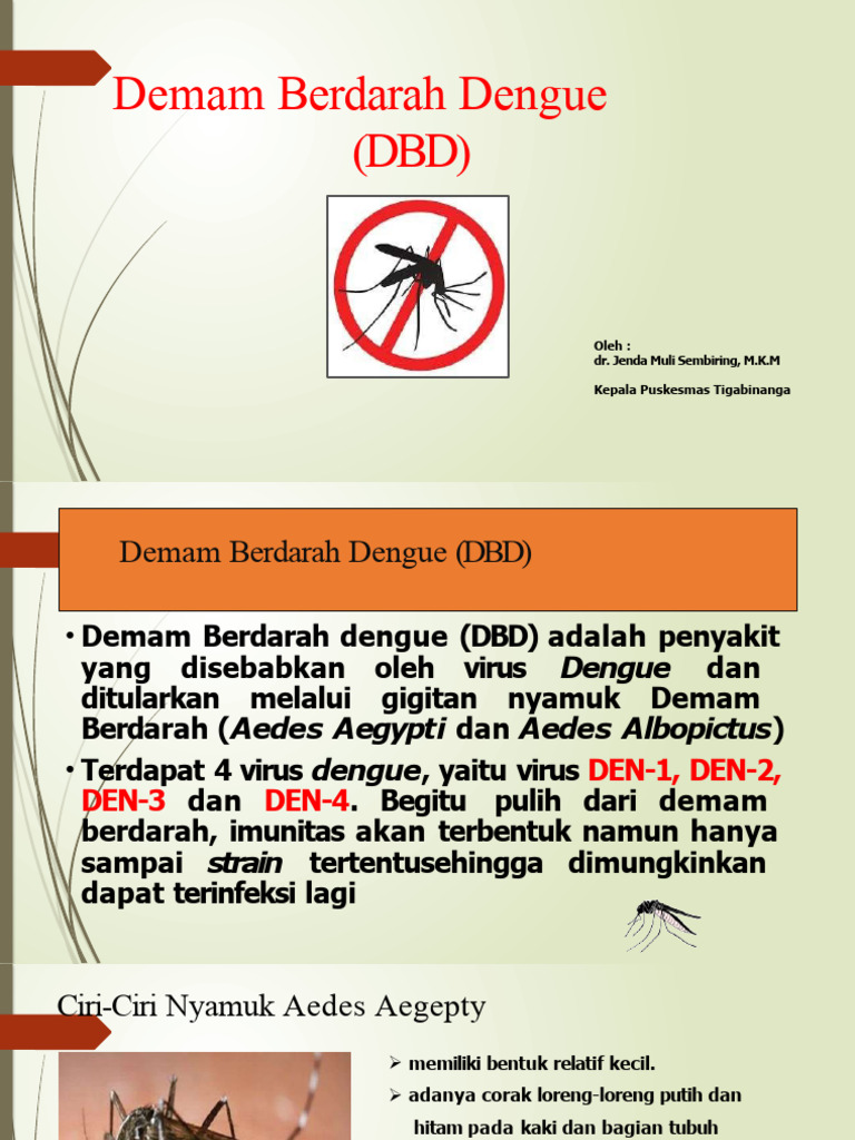 DBD 2024 | PDF