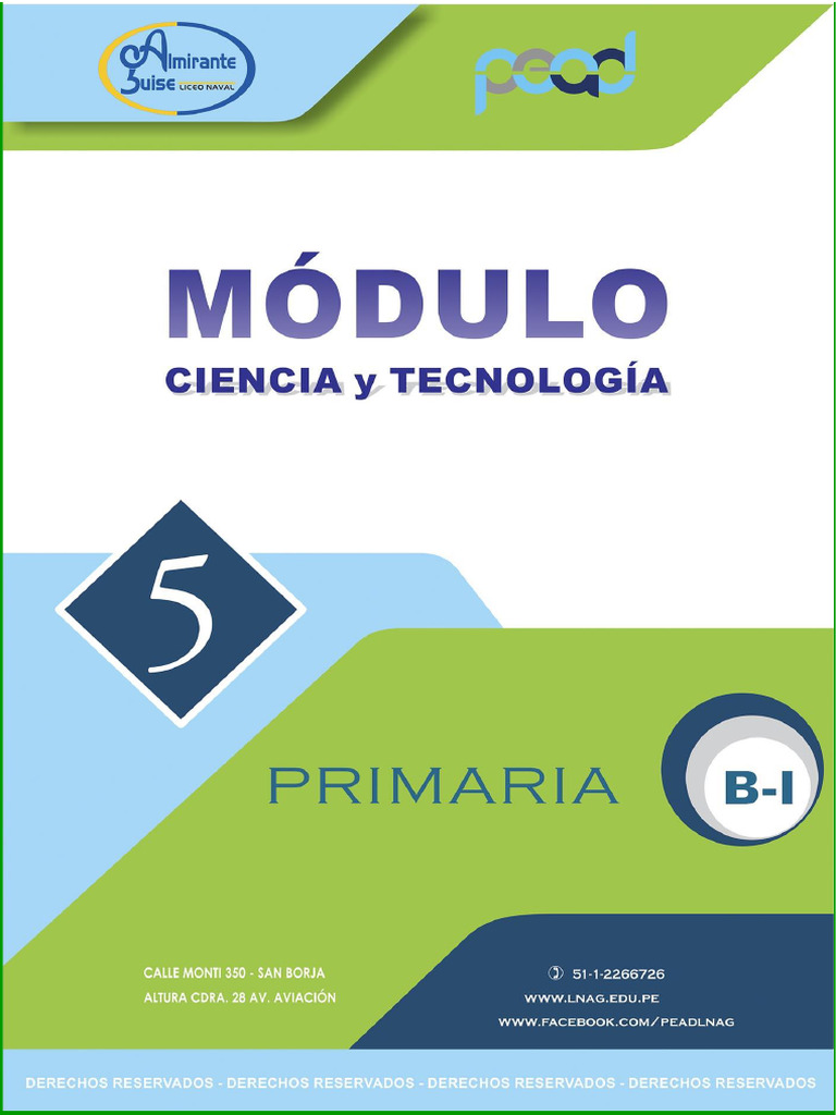 ModAut Cietec 5prim IBim 2021 | PDF | Respiración | Sistema digestivo humano