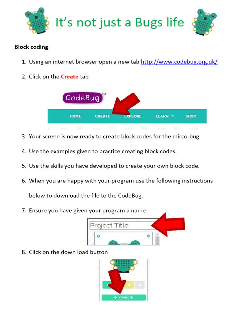 06 Code Bug - Intro | PDF