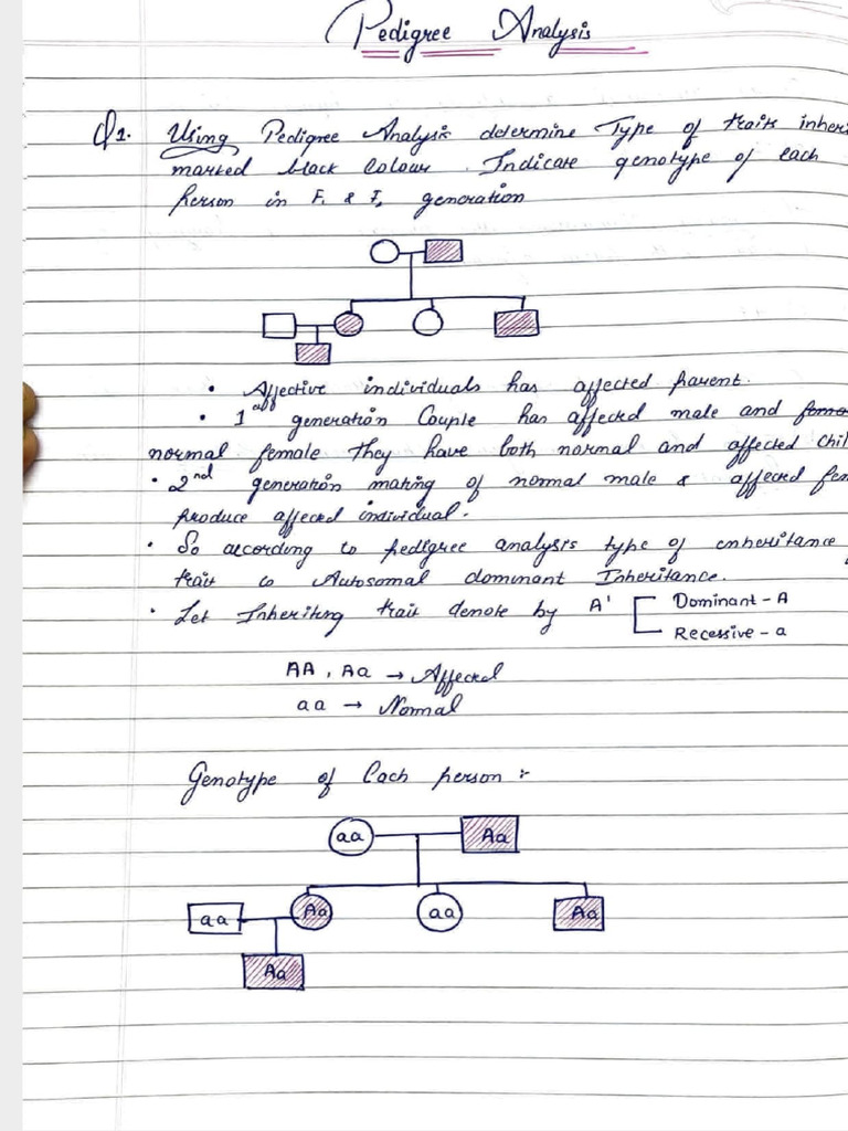 Biology Task13 | PDF