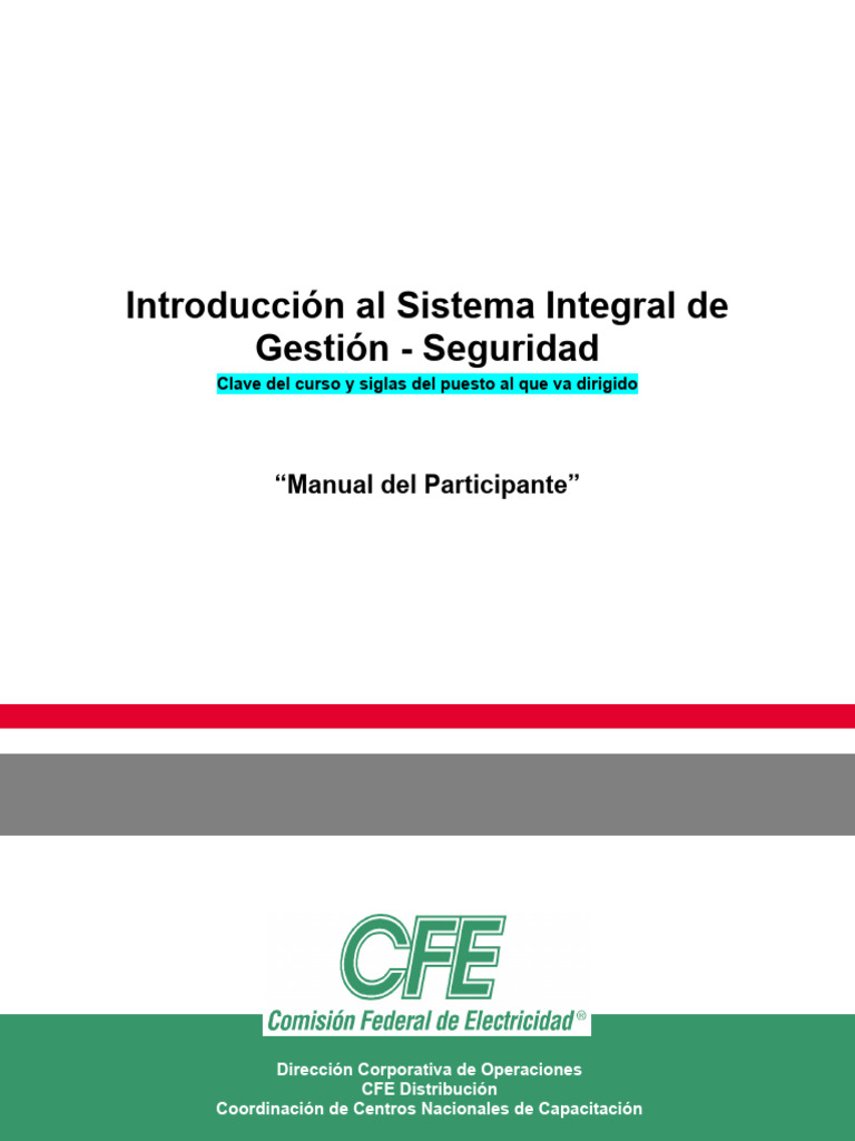 Manual CFE | PDF | La seguridad informática | Seguridad