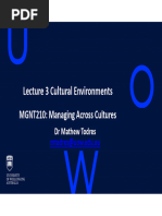 Cultural Issues in International Business | PDF | Cross Cultural ...