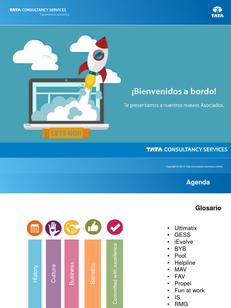 TCS Overview | PDF | Business