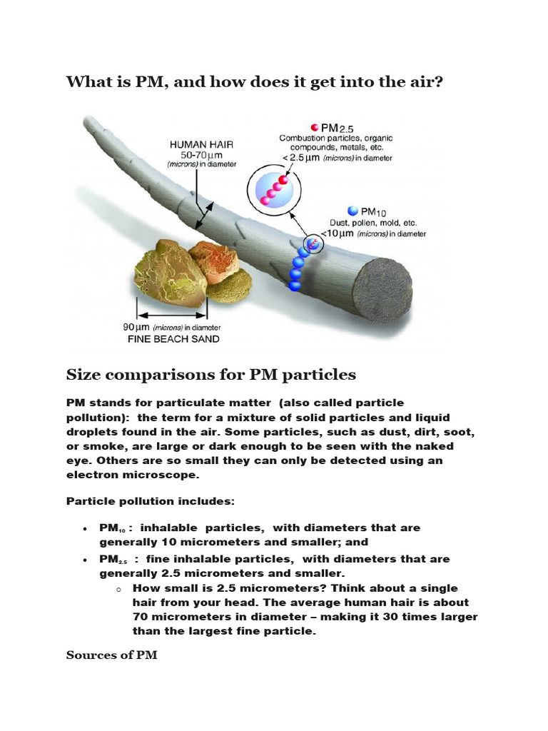 What Is PM | PDF | Particulates | Environmental Issues
