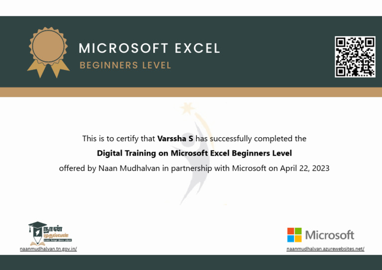 Certificate Excel | PDF | Computers | Art