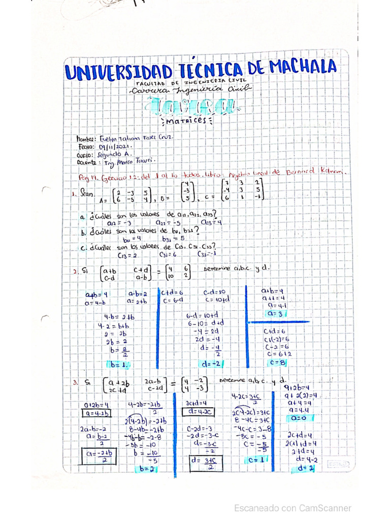 Tarea 2 Matrices | PDF