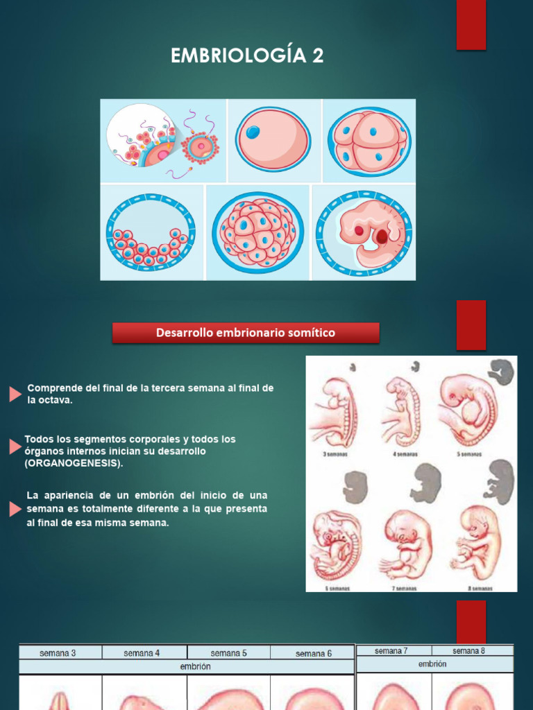 HTTPSFCM - Aulavirtual.unc - Edu.arpluginfile - Php486215mod resourcecontent1Clase20Teorico ...