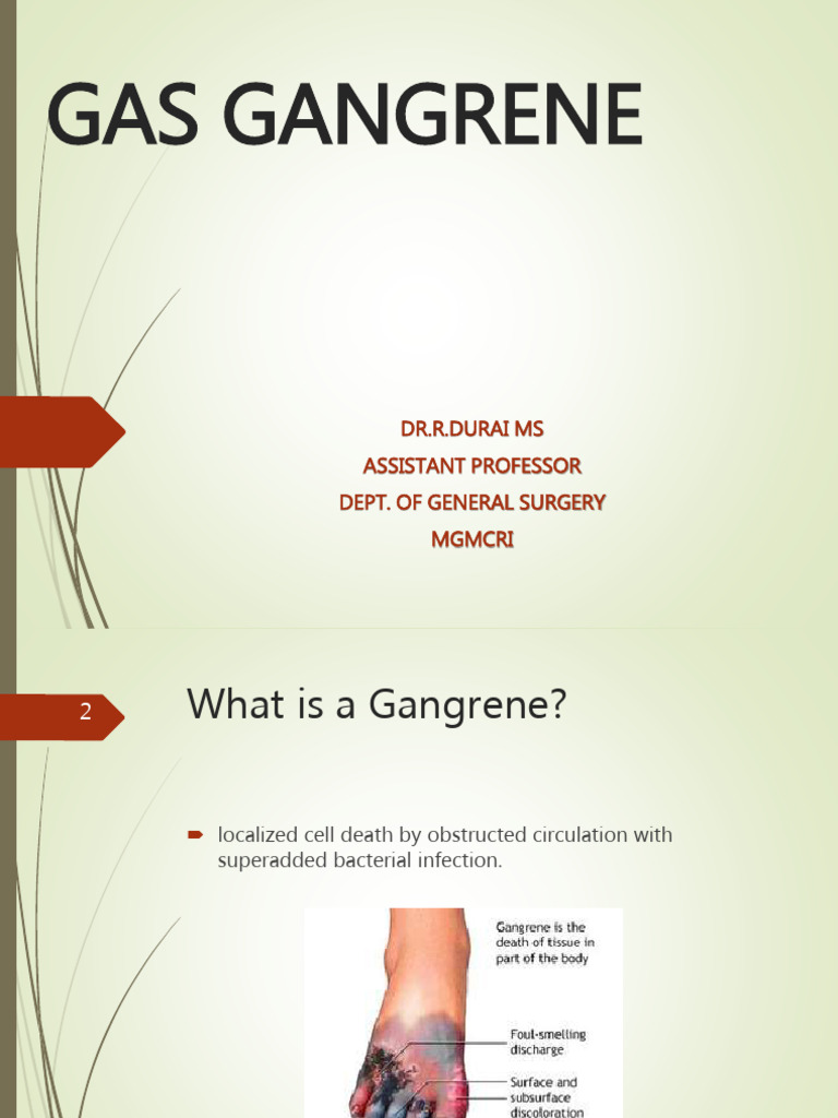 Understanding Gas Gangrene: Causes & Treatment | PDF | Medical ...