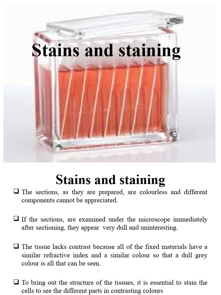 Stains and Staining PTH 7303 | PDF | Staining | Histology