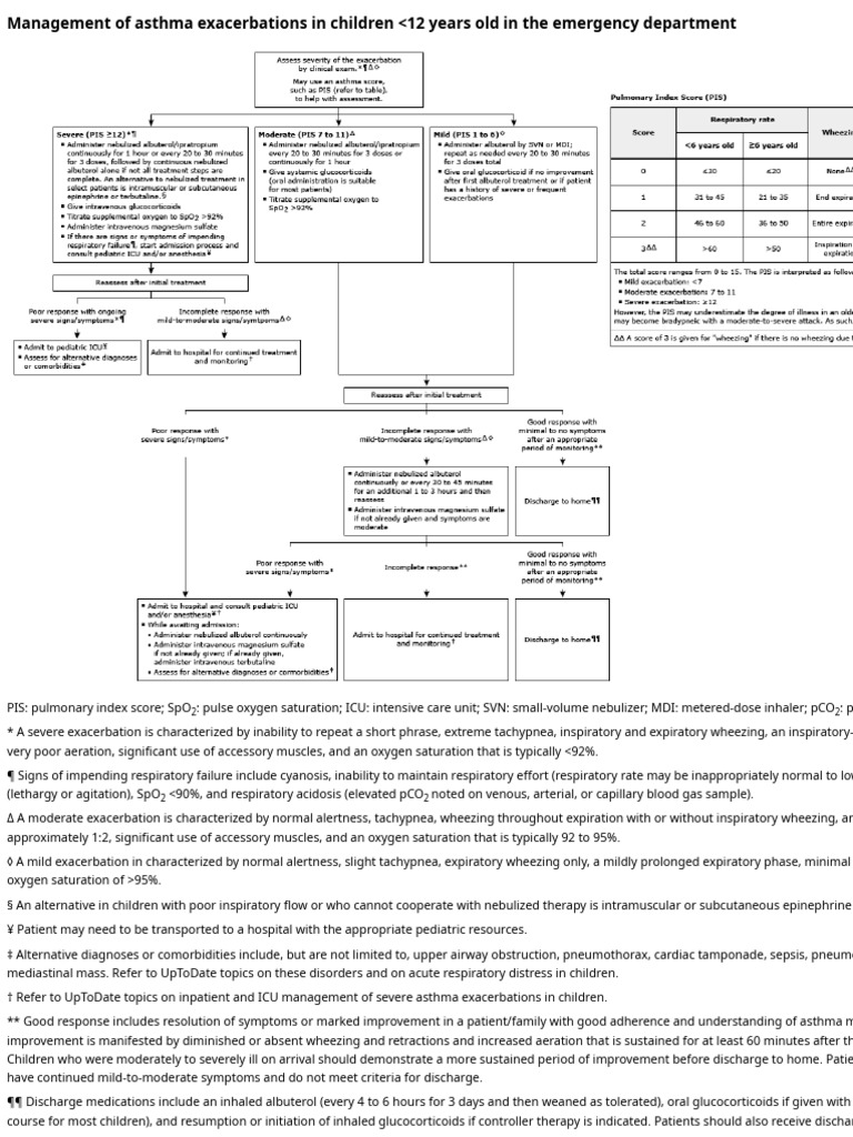 Asthma Exacerbation Management in Kids | PDF | Asthma | Clinical Medicine