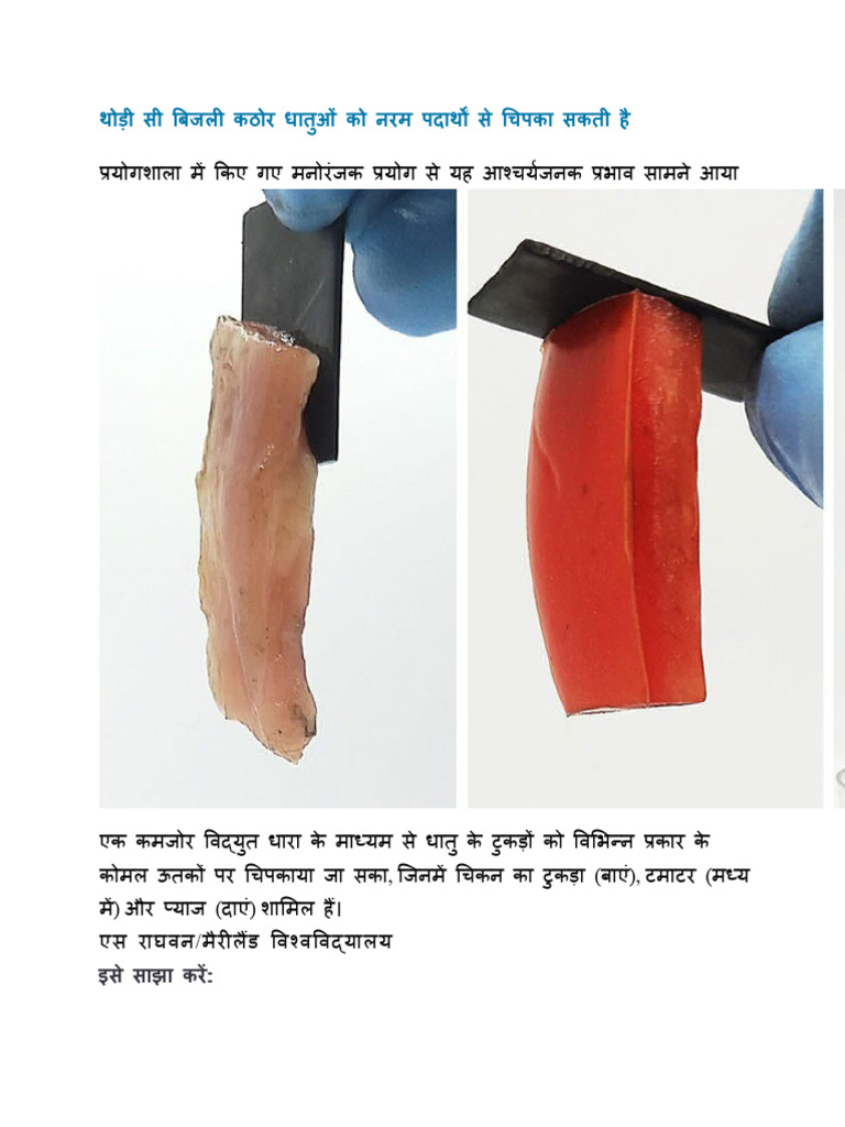 Vigyan Sansar Vol 07 | PDF