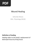 First vs. Second Intention Healing | PDF | Wound Healing | Scar
