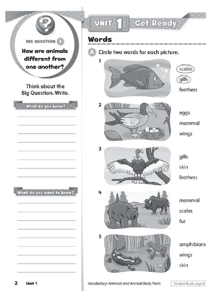 Oxford Discovery Workbook 2 | PDF