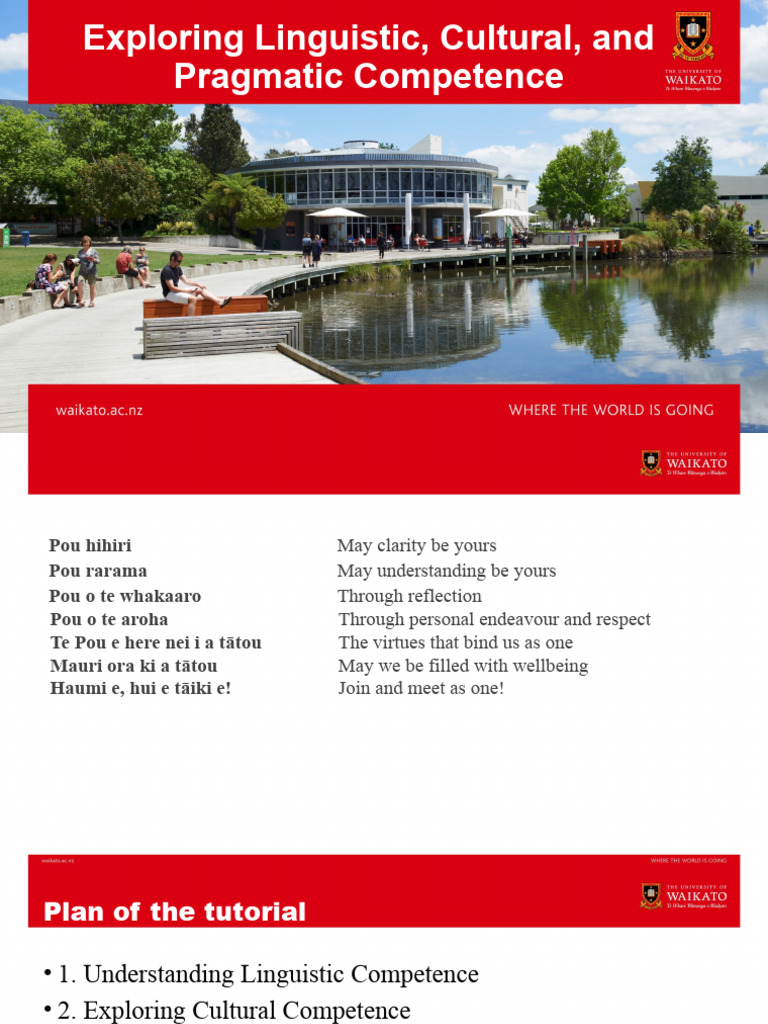 Competences | PDF | Linguistics | Communication