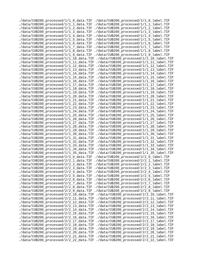 Paths Pdf Business Computers