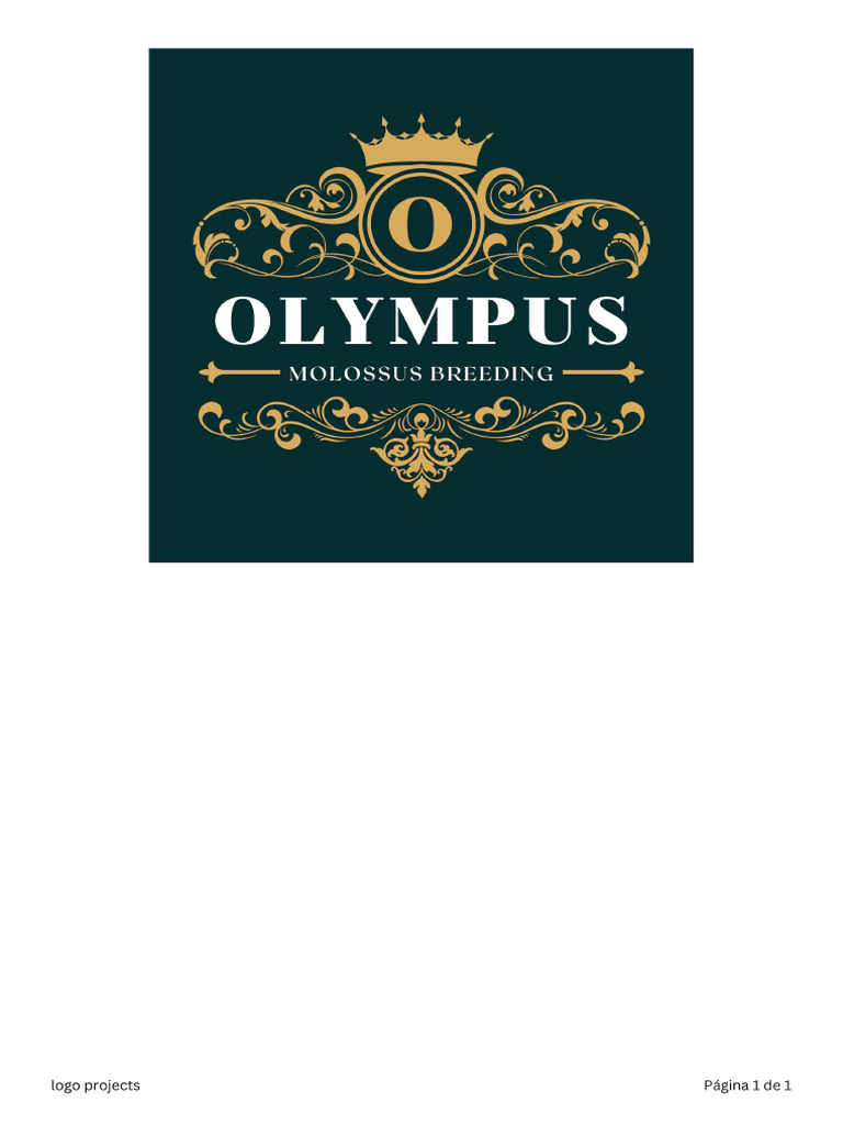 Logo Projects | PDF