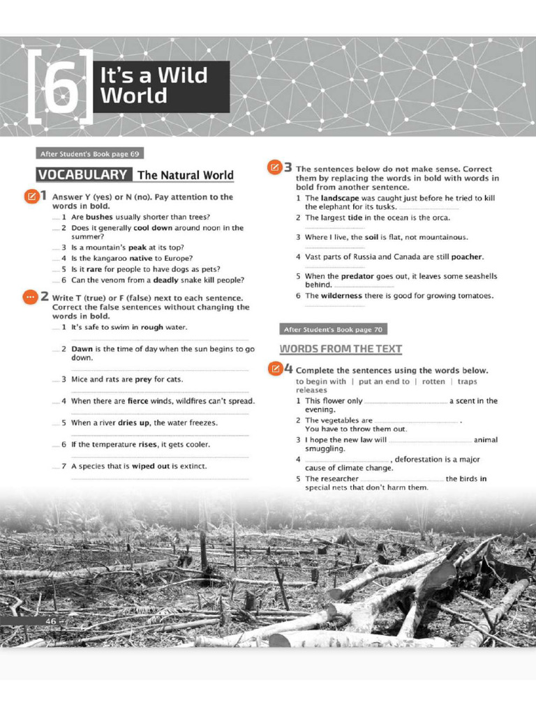 Unit 6. Exercises | PDF