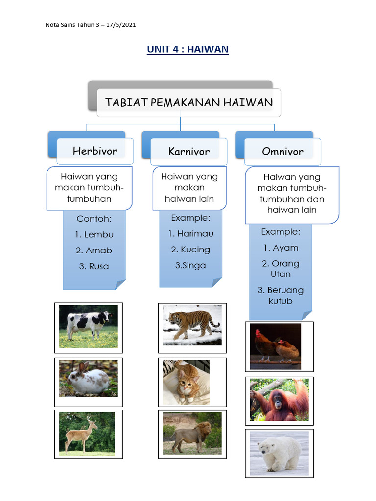 Unit 4 Haiwan 3TF | PDF