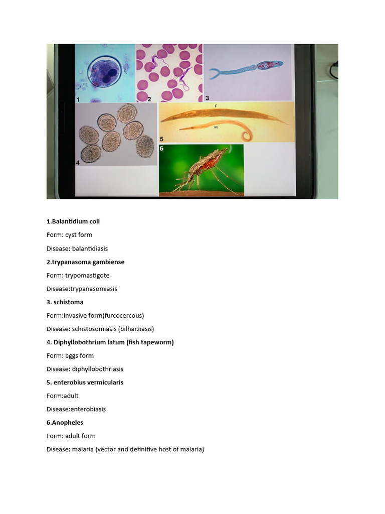 Bio Exam Qs 10-6-20 | PDF | Adaptive Immune System | Immune System