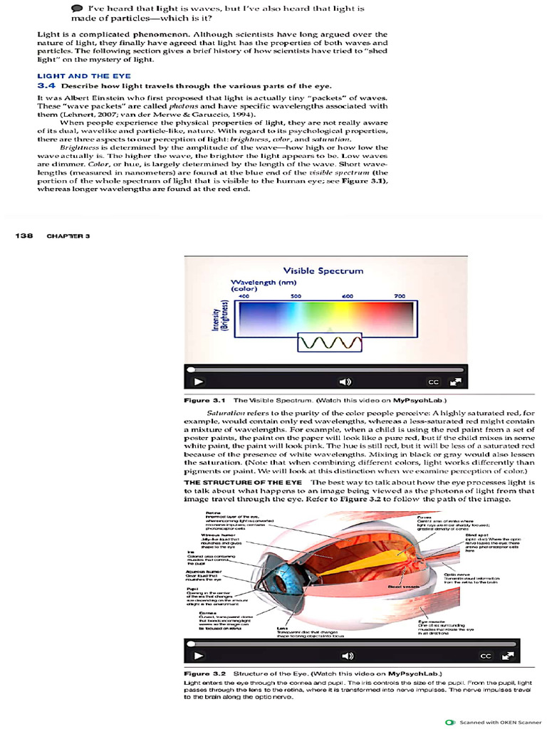 Visual System (Operation) | PDF