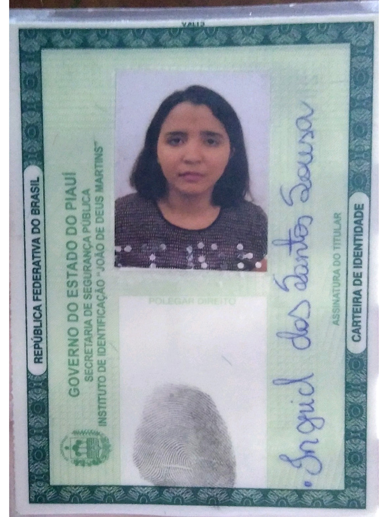 Novo Documento 1 | PDF