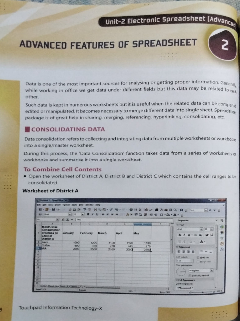 Electronic Spreadsheet | PDF