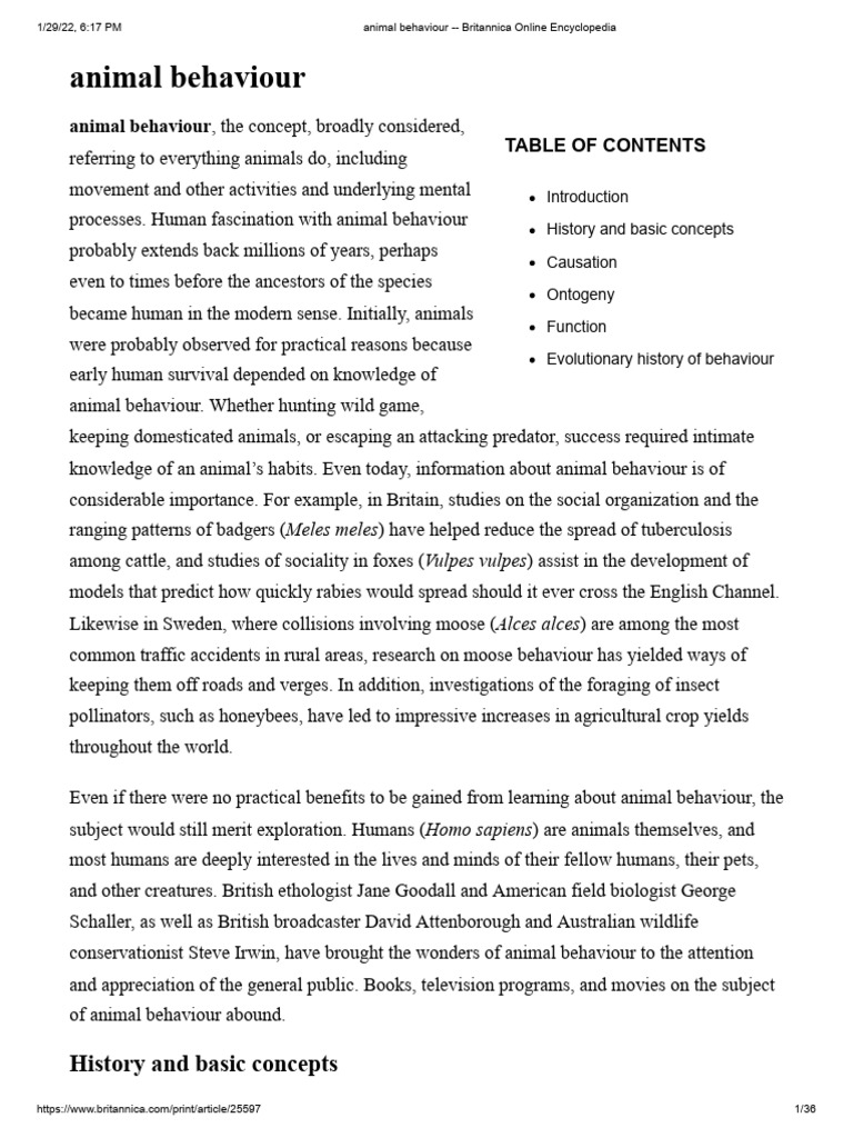 Understanding Animal Behaviour Insights | PDF | Ethology | Senses