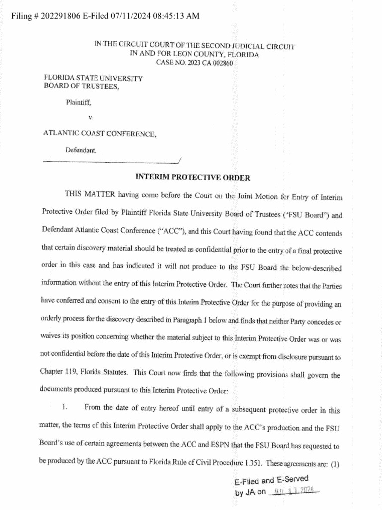 Interim Protective Order | PDF