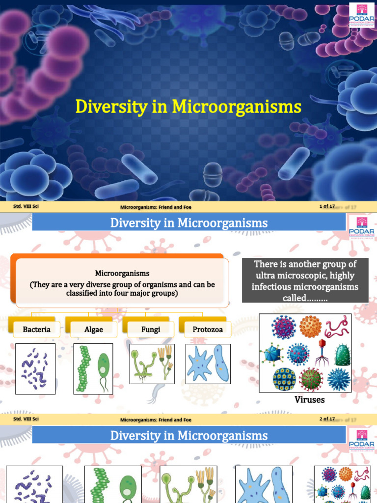 PPT2 CB VIII Sci Microorganisms-Friends and Foe | PDF | Protozoa ...