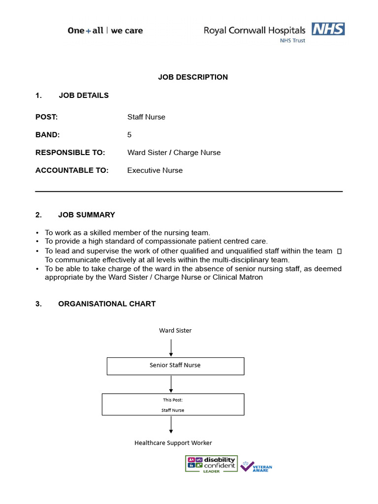 156-6367237 - Job Description and Person Specification | PDF | Nursing ...